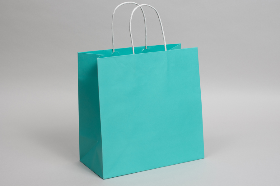 10 x 5 x 10 Aqua Marine Eco-Friendly Paper Shopping Bags