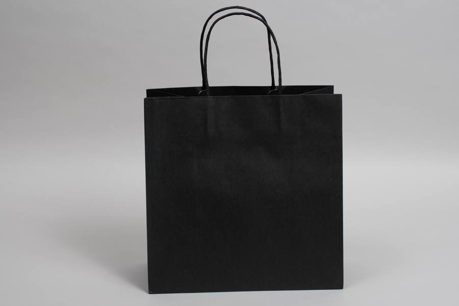 10 x 5 x 10 Black Onyx Eco-Friendly Paper Shopping Bags